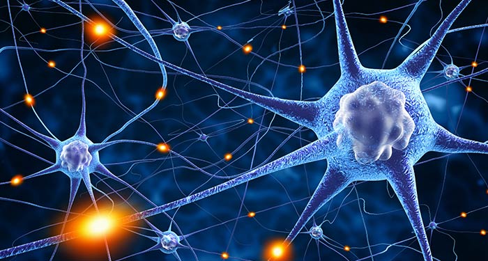 Epilepsy - Health & Wellness - Spec-Savers South Africa